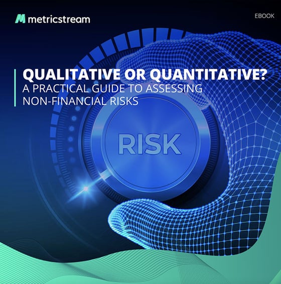 A Practical Guide to Assessing Non-Financial Risks: eBook